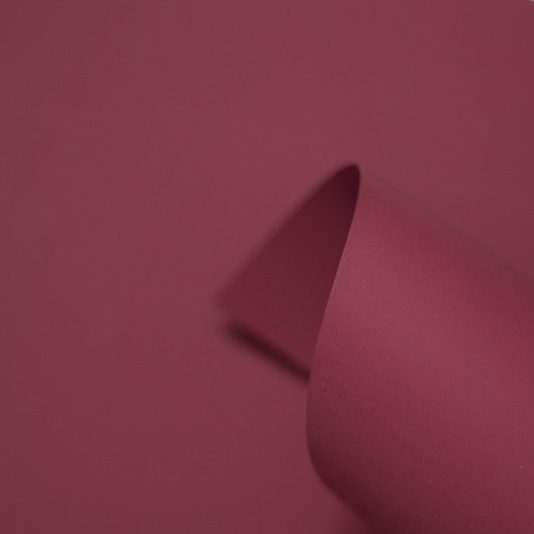 Plike Bordeaux 330g – Inventário